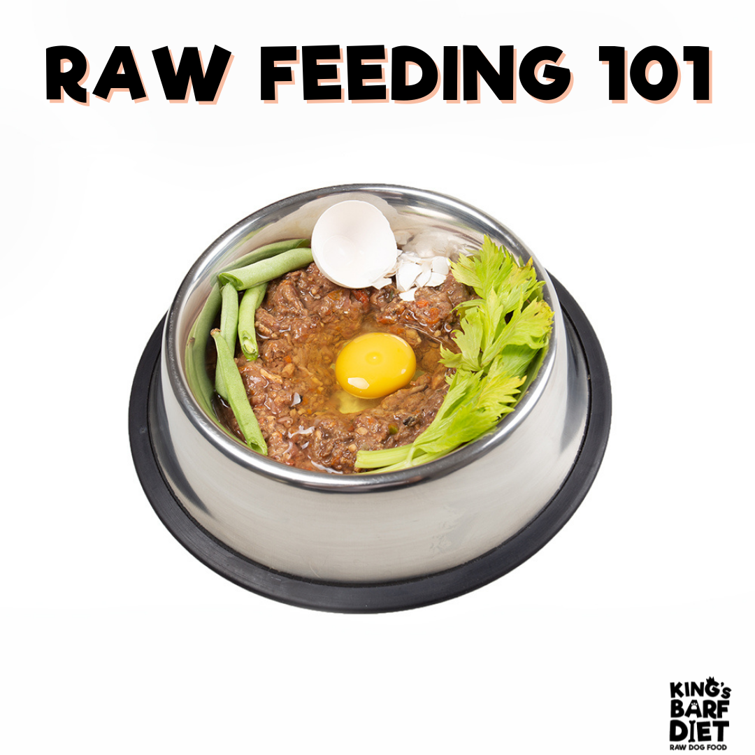 Raw Feeding 101 – King's BARF Diet